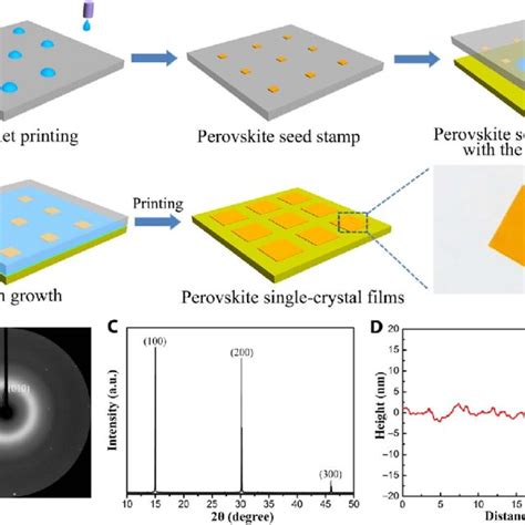 Scalable Fabrication Of Photodetectors A Schematic Device Structure Download Scientific