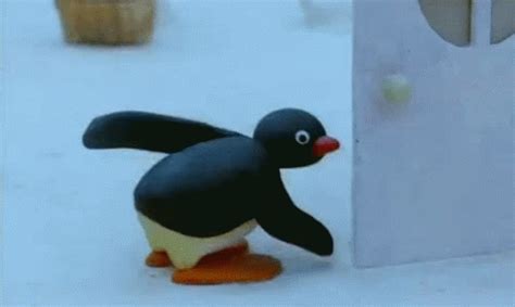 Pingu S Tenor