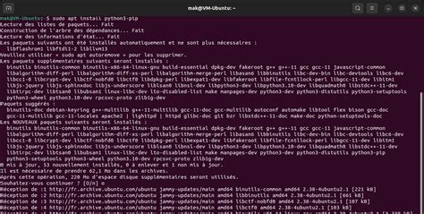 ubuntu installer et utiliser pip pour python
