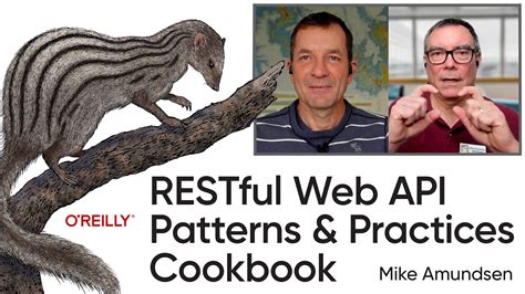 patterns and practices for restful web apis mike amundsen talks about