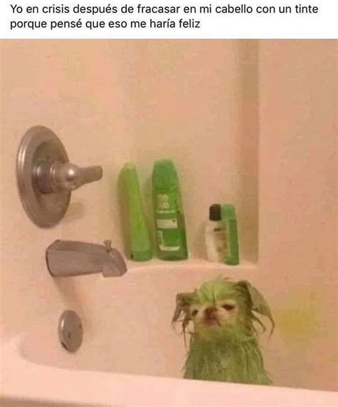 Cellegrini 😂😂😂