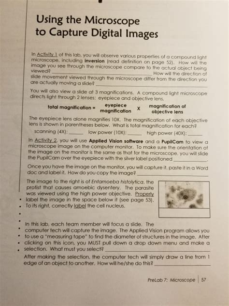 Solved Using The Microscope To Capture Digital Images In Chegg