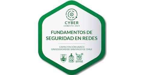 View My Verified Achievement From Capacitación Usach Daniel Zelada