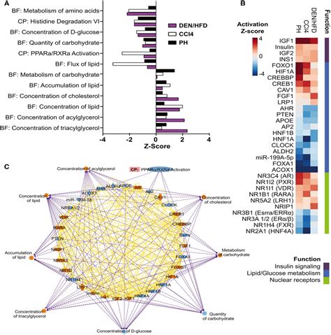 The Sclerosing Cholangitis Outcomes In Pediatrics Scope In Hepatology