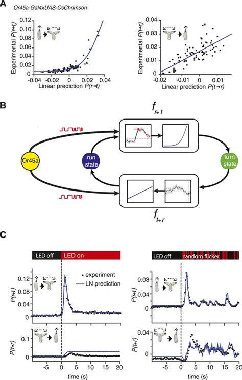 Reverse Correlation Analysis Of Navigation Dynamics In Drosophila Larva Using Optogenetics Elife