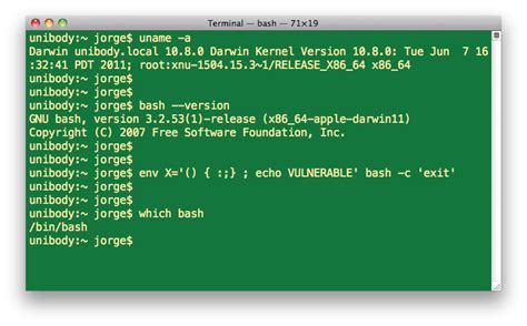 Shell Shock Os X Bash Update Installer For Snow Leopard Hacksagogo
