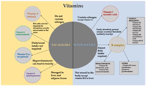 Solubility Of Vitamin E In Ethanol At Olga Trevino Blog