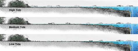 Cross Section Produced From The Field Acquired Spatial Data Graphics