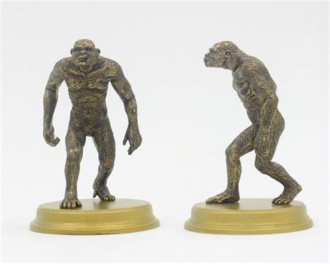 Ramapithecus Australopithecus Homo Habilis Homo Erectus Ape Man Figure