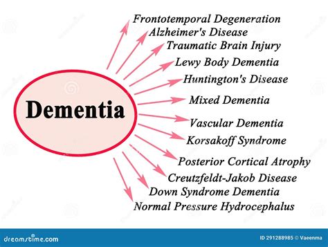 Twelve Types Of Dementia Stock Image Image Of Lewy 291288985
