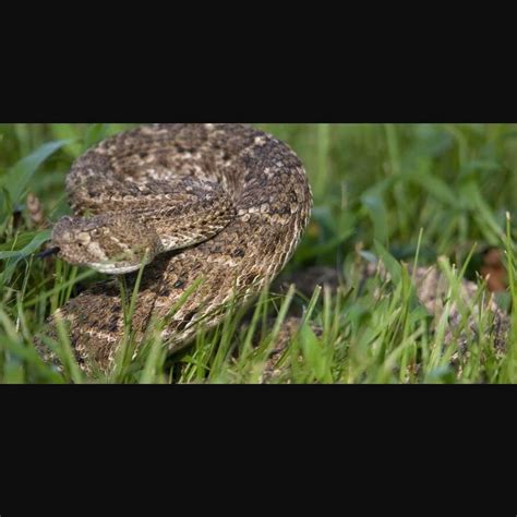 Jeremy Basham Youtube