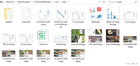 基于yolov8深度学习的智能玉米害虫检测识别系统【python源码pyqt5界面数据集训练代码】目标检测、深度学习实战 阿里云开发者社区