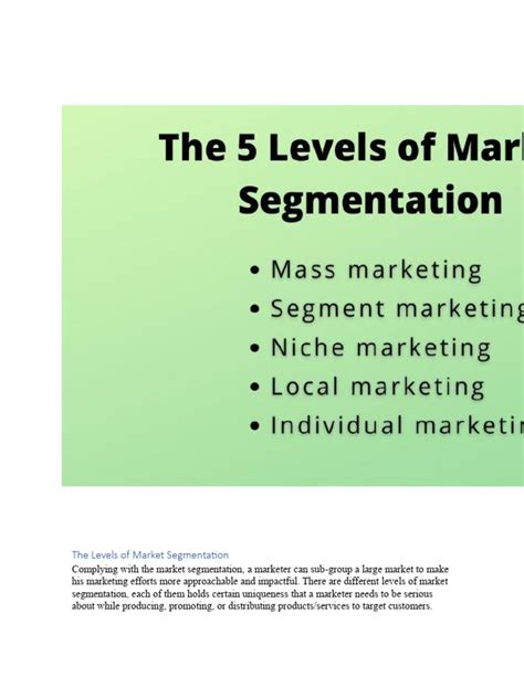 Levels Of Segmentation Pdf