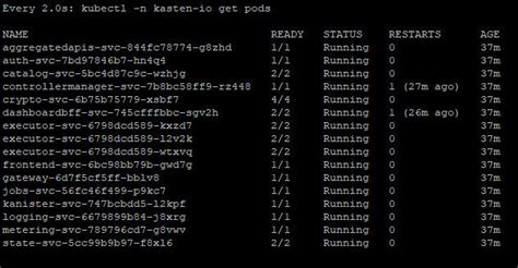 k10 on vmware tanzu tkgs failed to verify dr function veeam