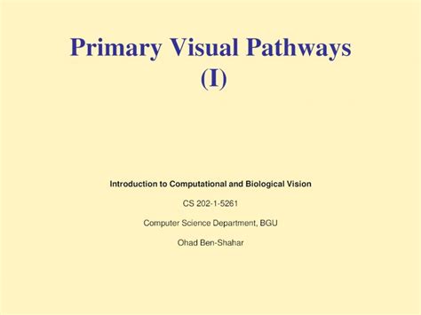 Pdf Primary Visual Pathways I Bguben Shahar Teaching Primary Visual Pathway The