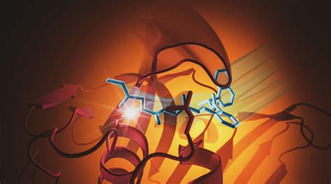 New Molecule Shows Promise In Slowing Sars Cov 2 Eurasia Review