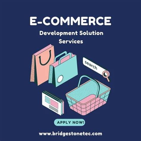 Ecommerce Development Solutions Service At Rs 25000pack In Jaipur Id