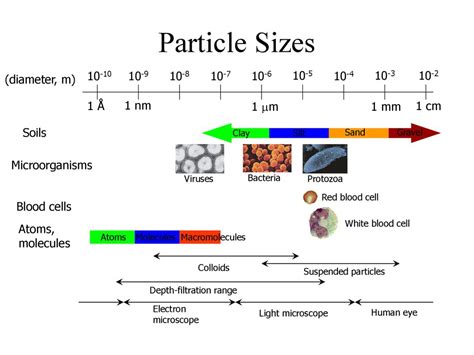 Colloid Transport Project Ppt Télécharger