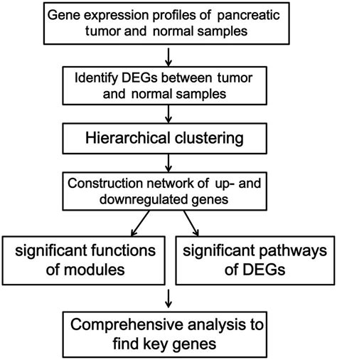 Gene Expression Profile Analysis Of Pancreatic Cancer Based On