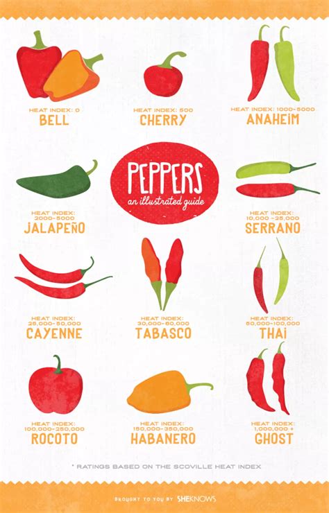 Chili Peppers Types Chart Chart Peppers Chile Chili Types Pe