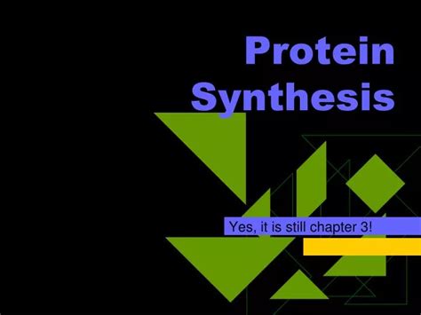 PPT Protein Synthesis PowerPoint Presentation Free Download ID