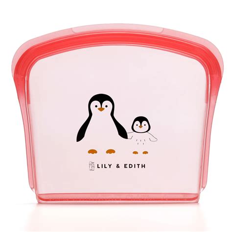Eco Friendly Products Floss Snack Bags Bottles Lily And Edith