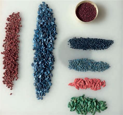 Seed Technology High Quality De Corato Sementi