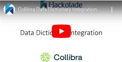 Videos : How-to use our NoSQL data modeling tool
