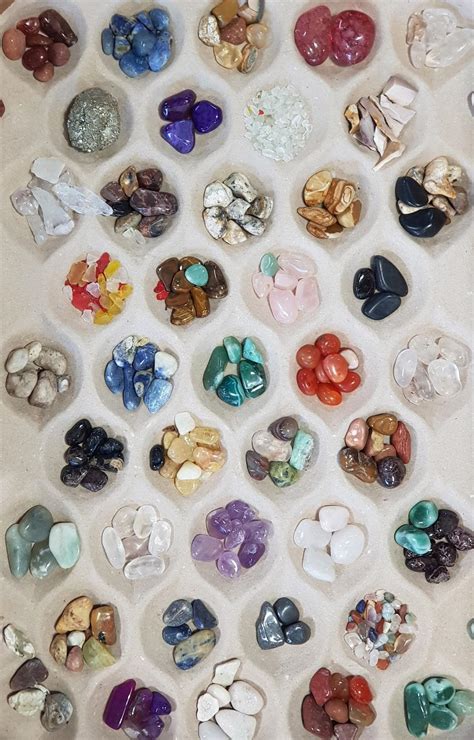 Lot Specimen Collection