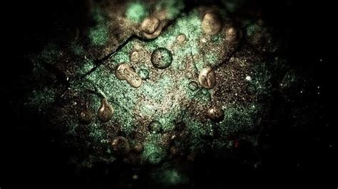 「treyler」の写真素材 9件の無料イラスト画像 Adobe Stock