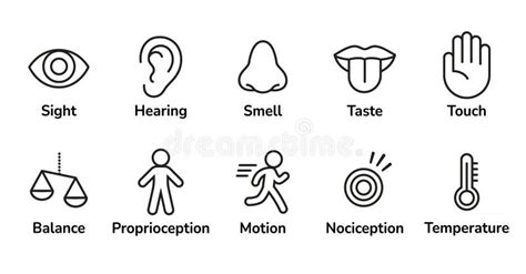 Human Senses Icon Set Stock Vector Illustration Of Sense 389762236