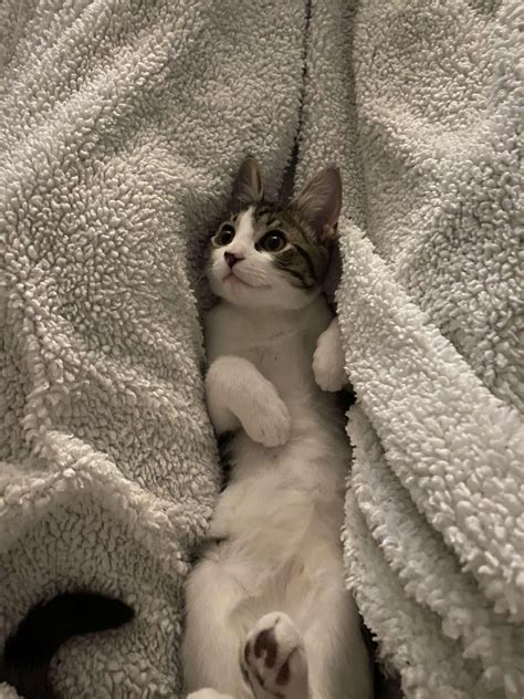 Unsave This One Rcrosspostautomation