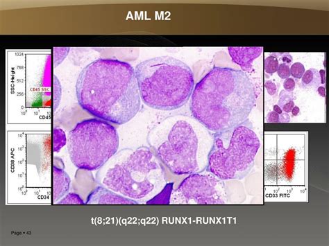 Ppt Basics Of Flow Cytometry Powerpoint Presentation Free Download