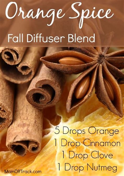 Essential Oils Fall Diffuser Blends Fun Ways To Use Oils In 2024 Essential Oil Blends