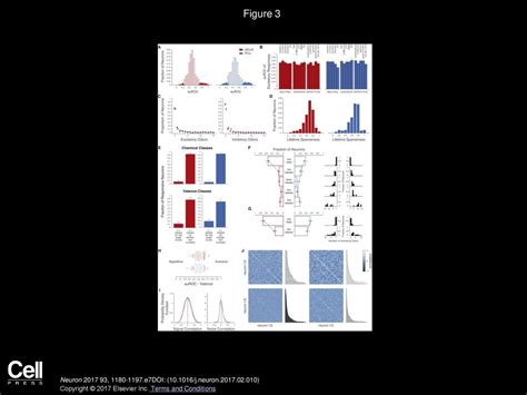 Population Coding In An Innately Relevant Olfactory Area Ppt Download