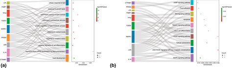 analysis of clinically meaningful hub genes enrichment a biological