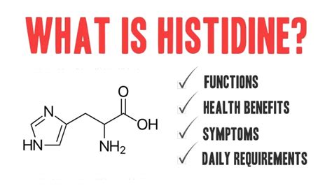 Histidine Benefits Functions Deficiency And Dietary Sources