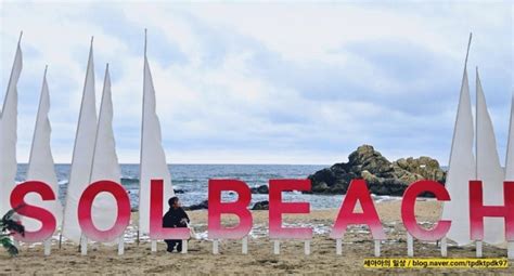 1박2일 양양 여행 뚜벅이 겨울 양양 쏠비치 여행🥶 네이버 블로그