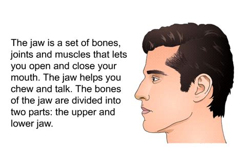 Jaw Injuries And Disorders