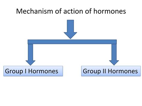 Hormones And Its Classification Pdf