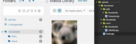 Content Management System How Organize Uploaded Media In Wp Stack