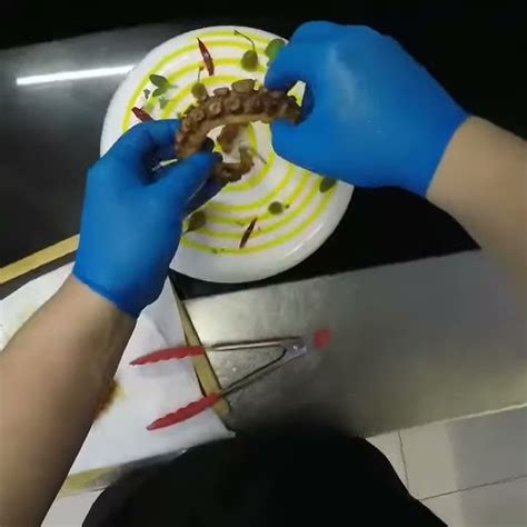 რვაფეხა შებოლილი ლობიოს გარნირით და ლიმონის გელით Youtube