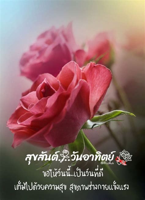 Good Morning Flowers Happy Sunday Good Day Flora Greetings Nice Kendall Jenner Hello Weekend