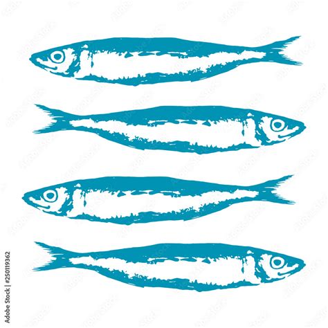 Hand Drawn Illustration A Group Of Sardines Sardina Pilchardus Blue