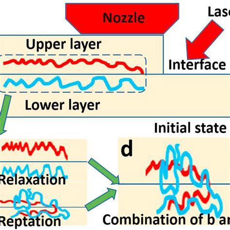Schematic Diagram Of Reptation And Relaxationa Initial State
