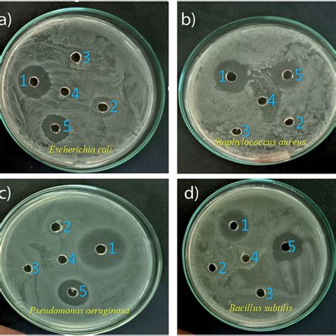 Antibacterial Activity Of Synthesized Silver Nanoparticles Against
