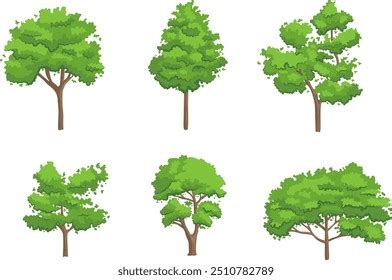 Collection Trees Graphics Trees Elements Architecture Stock Vector Royalty Free