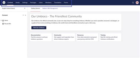 Doing Custom Sections In Umbraco 14 Dev Community