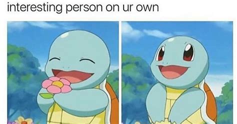 Squirtle Squirtle Album On Imgur