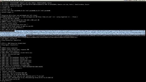 Zscaler Internet Access Serverworkload Authentication Youtube